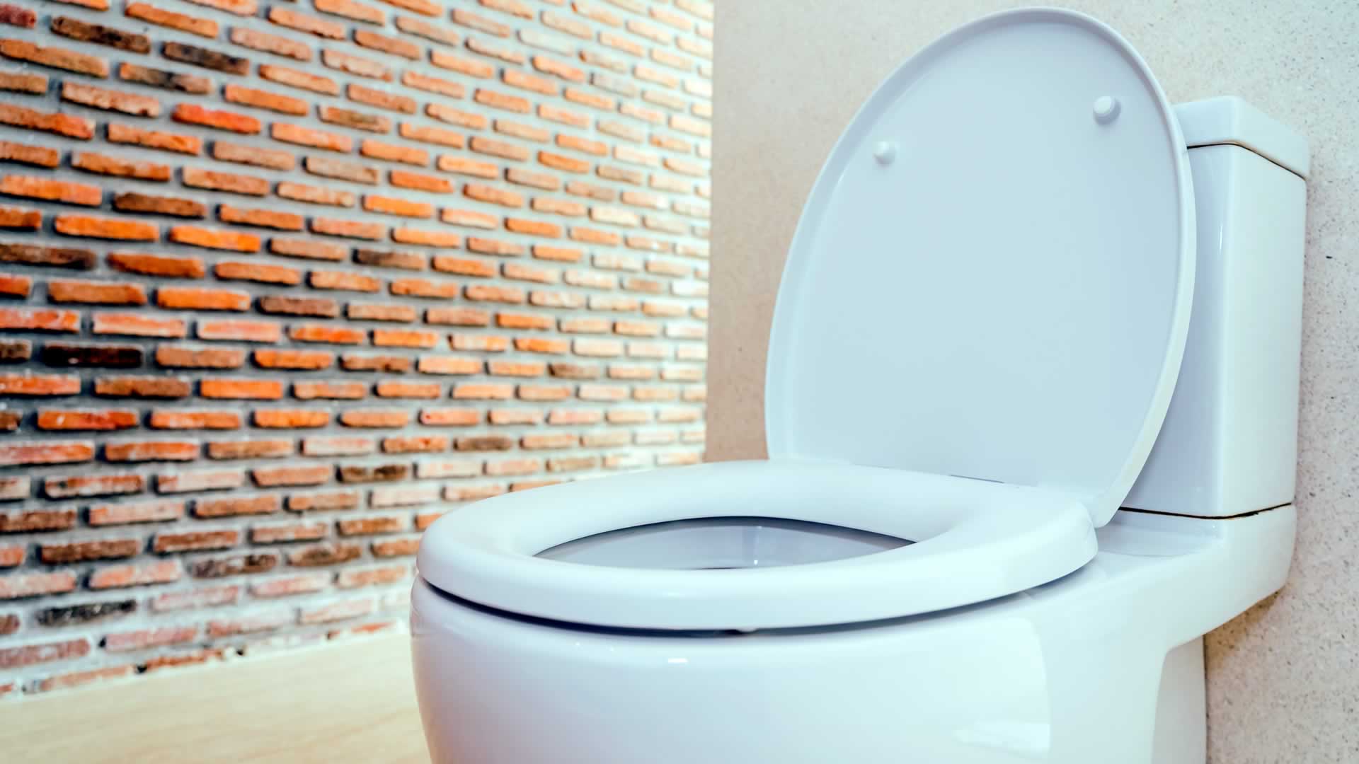 Your Ultimate Guide To Selecting A Toilet | South Surrey Plumbing